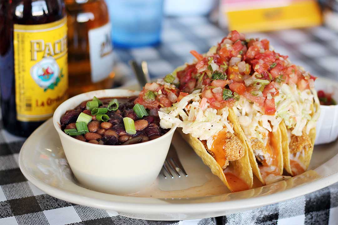 Photos - Flying Fish